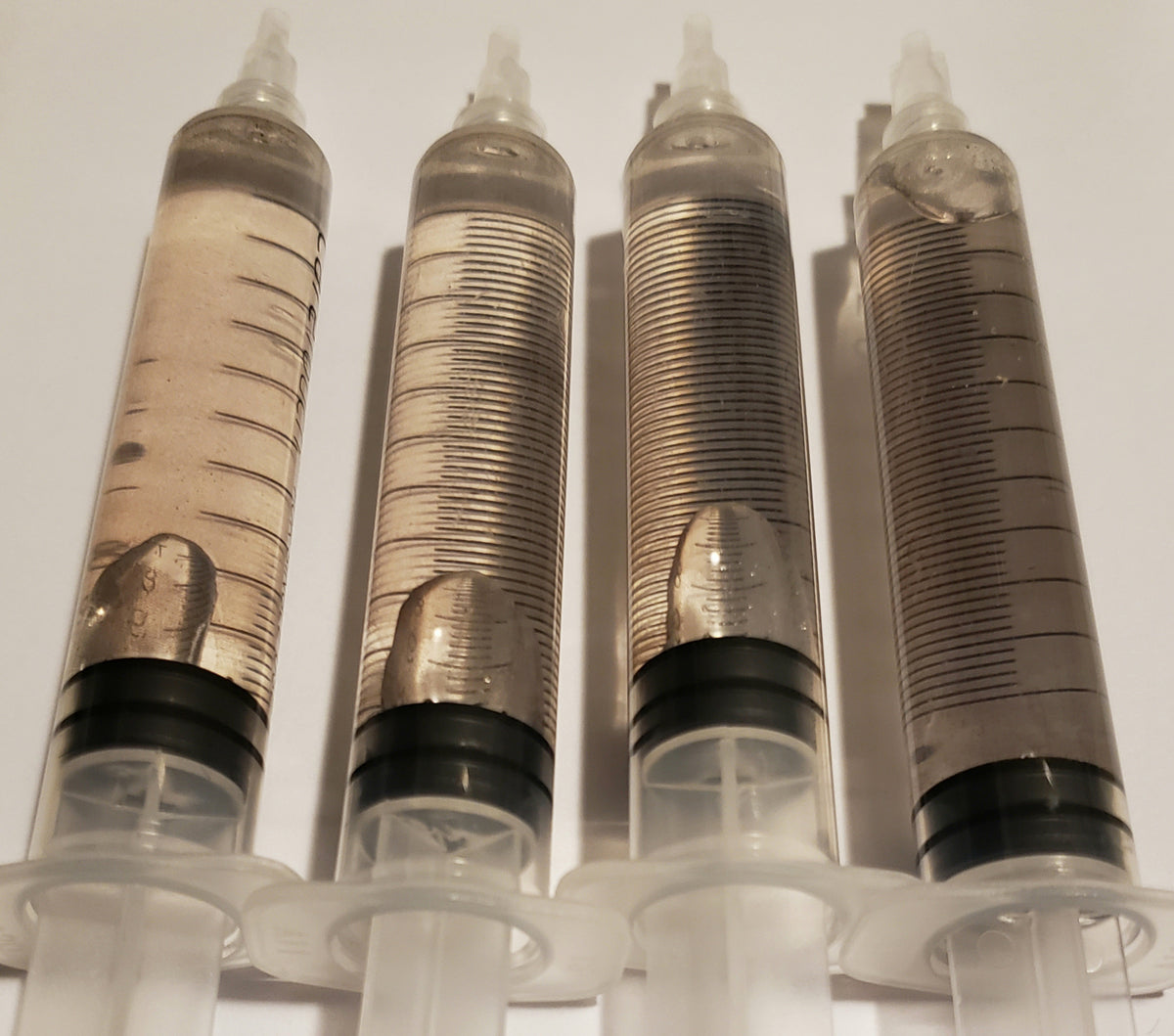 10mL Spore Syringes – Oregon Gourmet Mushrooms